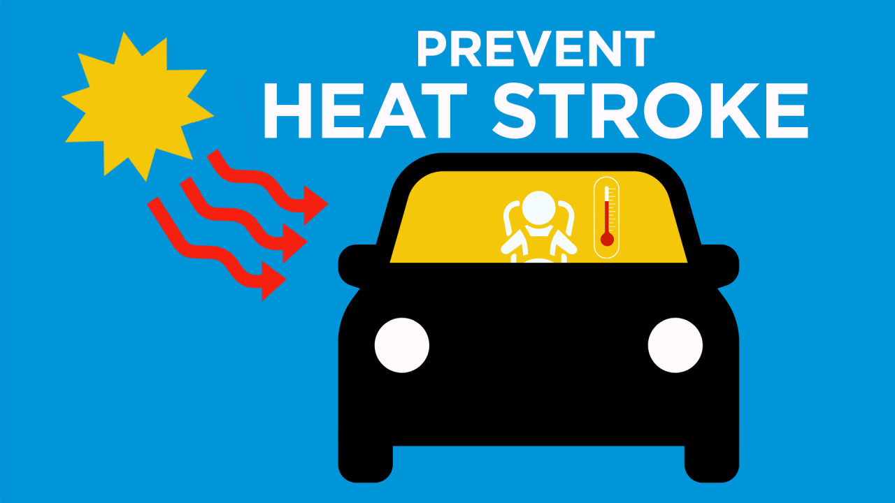 Child Passenger Safety (CPS) Task Force - Safe Kids Lincoln-Lancaster ...